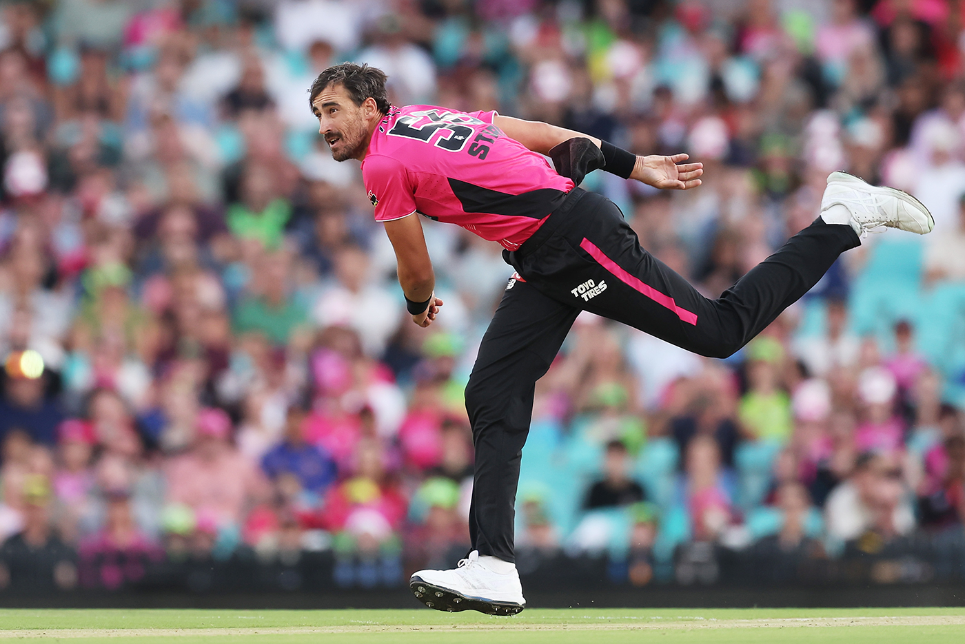 Mitchell Starc was back in the BBL after 11 years | ESPNcricinfo.com