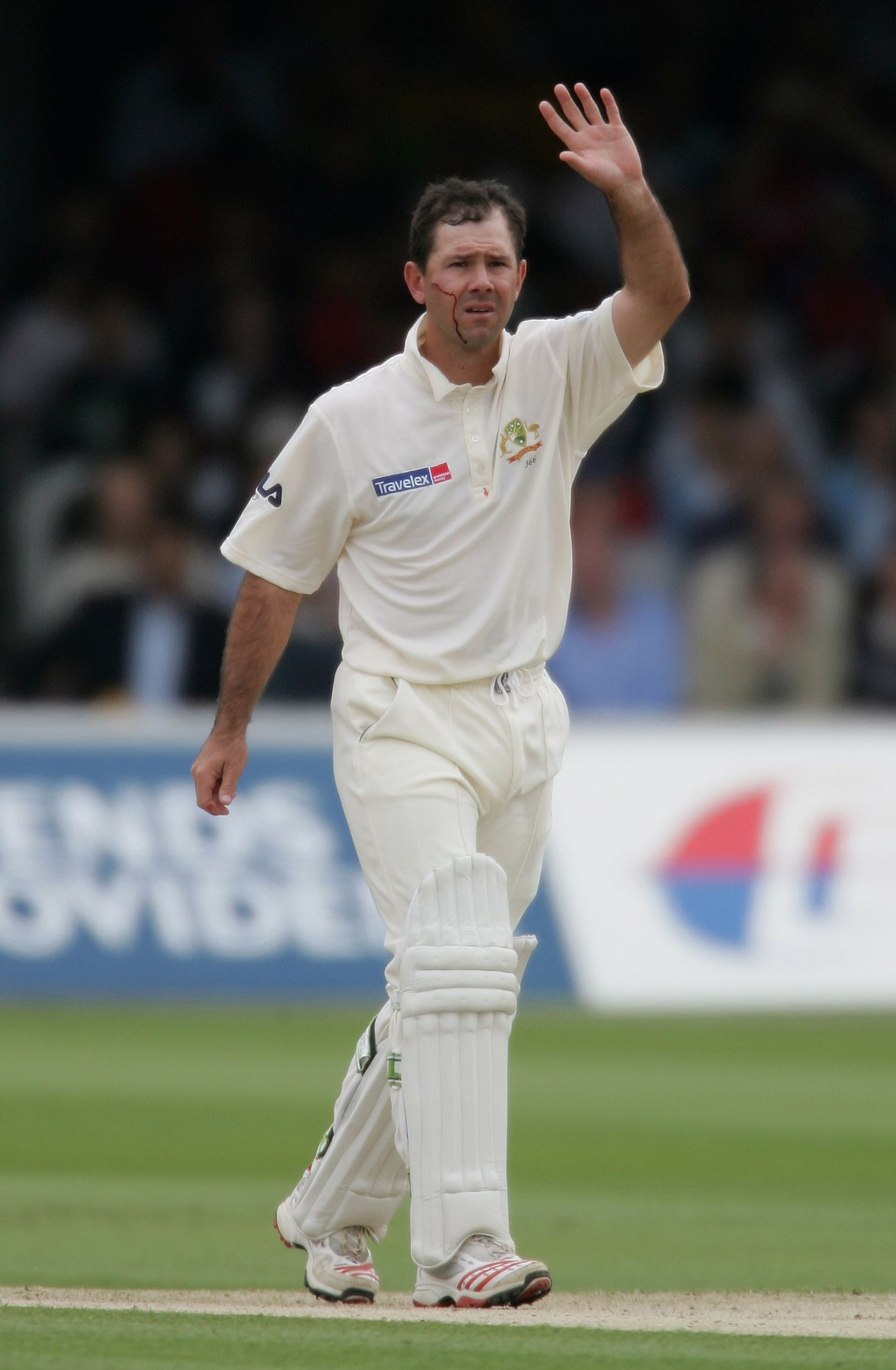 The Ashes, 2005 in pictures | ESPNcricinfo.com