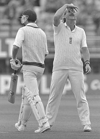 Ian Botham gestures as Kepler Wessels arrives at the crease ...
