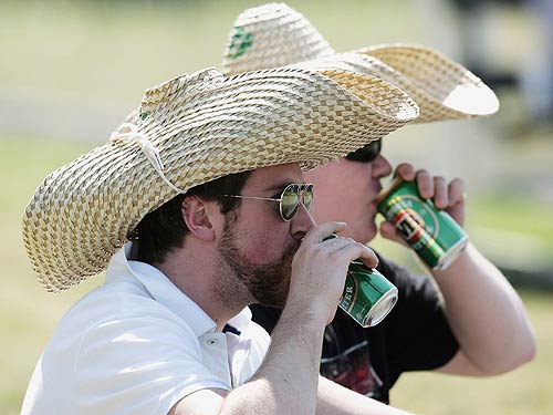 Spectators enjoy the cricket during Cricket Australia's 'Long Live Club ...