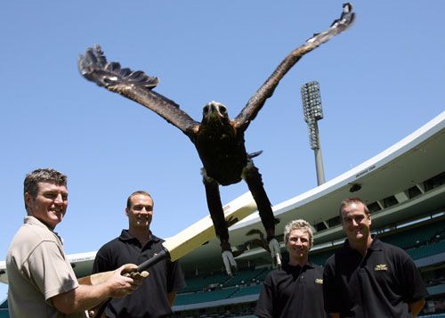 Stuart MacGill, Stuart Clark, Brad Haddin and Phil Jaques watch as a ...