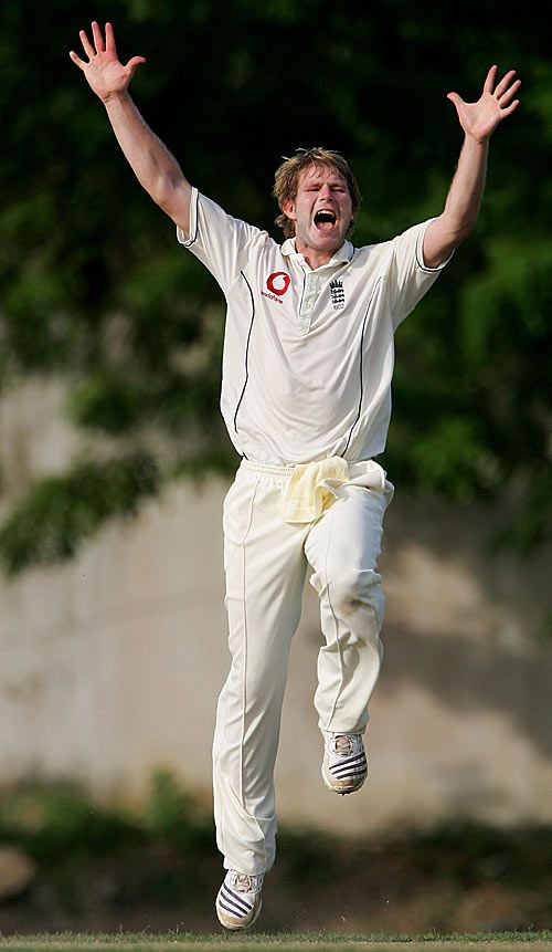 Matthew Hoggard leaps in the air to celebrate one of his five wickets ...