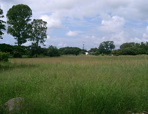 The outfield at Lady Tait cricket ground in Kadoma | ESPNcricinfo.com