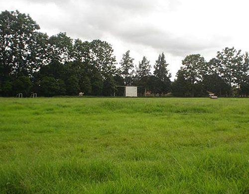 The overgrown outfield at Old Hararians in Harare | ESPNcricinfo.com