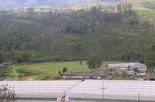 Radella Cricket Ground | ESPNcricinfo.com