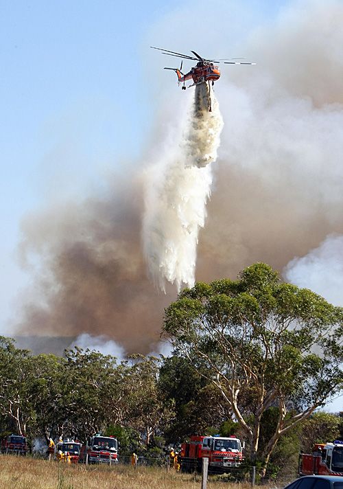 A helicopter water-bombs a bushfire in Peats Ridge, just north of ...