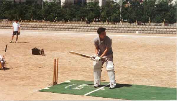 Flicx pitch, 2002 | ESPNcricinfo.com