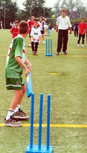 Pairs Cricket | ESPNcricinfo.com