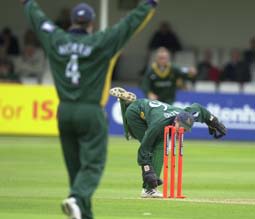 Notts Chris Read whipping of the bails in the National League | ESPNcricinfo.com