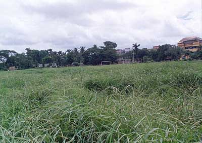 A grand view of the Tala Park in Calcutta | ESPNcricinfo.com