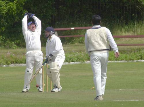 Chris Dearden falls to Mujtaba | ESPNcricinfo.com