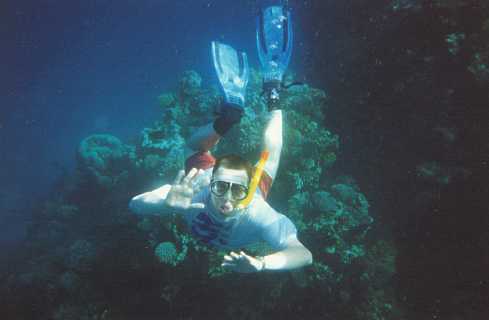 Stuart Burton | ESPNcricinfo.com