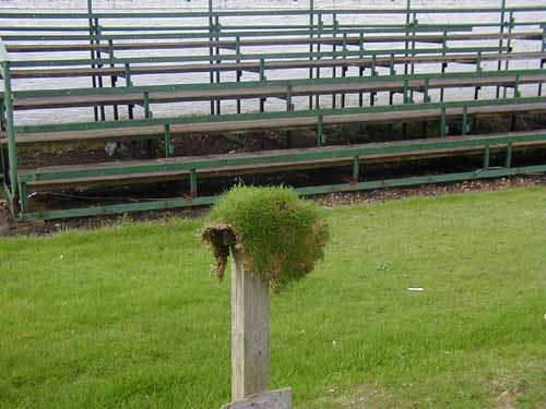 A single turf | ESPNcricinfo.com