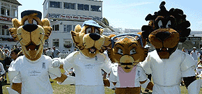 ECB promo image: Prideside team at the Oval Test 2003 | ESPNcricinfo.com