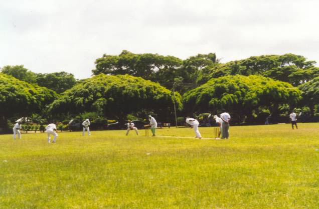 Senior cricket in Tonga | ESPNcricinfo.com