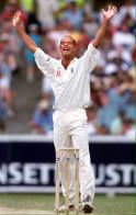 Dean Headley celebrates capturing another Australian wicket ...