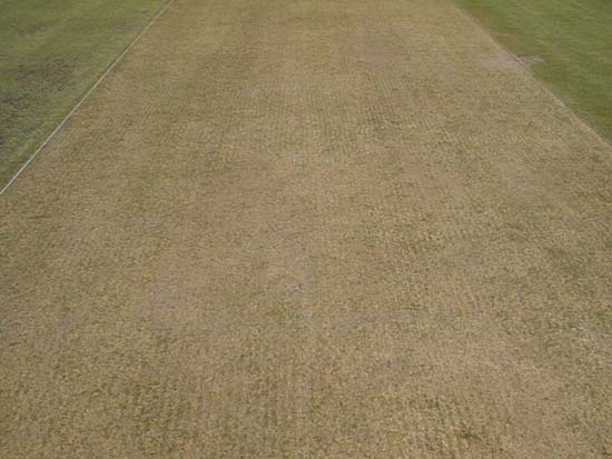 Pitch at St. George's Park, Port Elizabeth | ESPNcricinfo.com